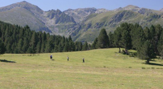ECHOSCIENCES - Science(s) en Occitanie | Partageons les savoirs et les ...